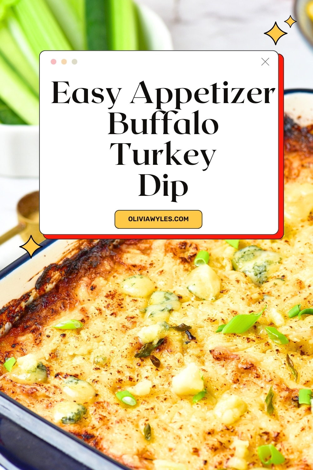 Quick & Easy Buffalo Turkey Dip